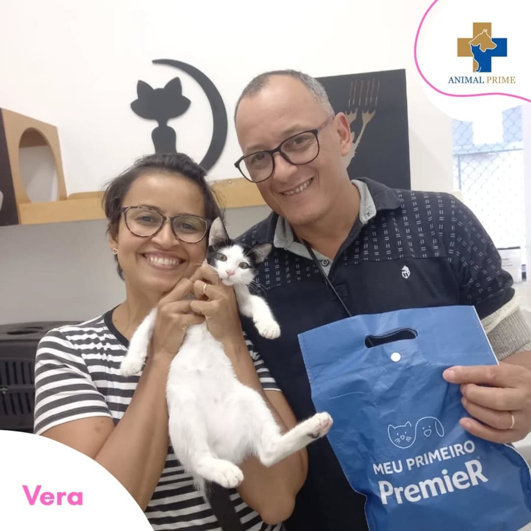 Animal Prime - Hospital Veterinário 24h | Penha, São Paulo