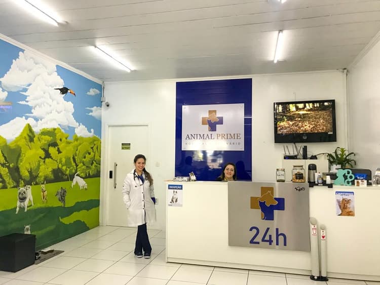 Animal Prime - Hospital Veterinário 24h | Penha, São Paulo